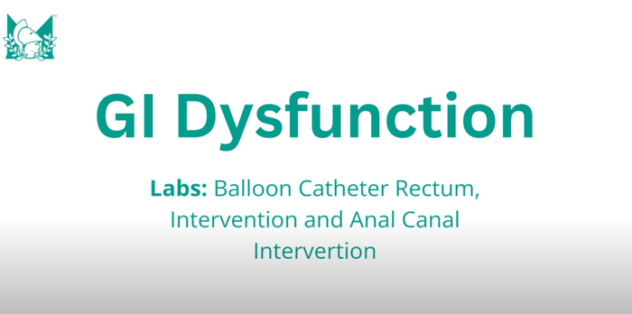 Anorectal Manometry Balloon Expulsion Training
